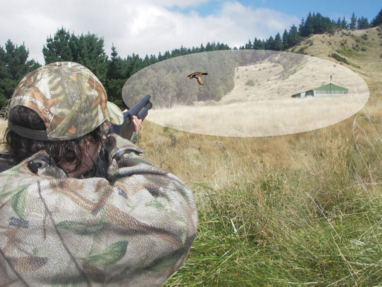 10 Basic Rules - Firearms Safety Foundation Inc Victoria